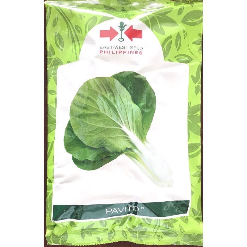 East West Seeds Pavito (Pechay/Chinese Cabbage) 1kg | Shopee Philippines
