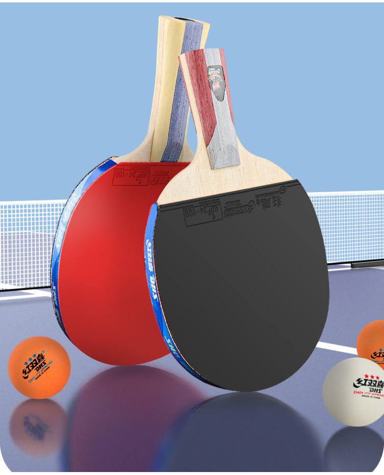DHS Professional Table Tennis Racket 5678 Star Ma Long Racing Single ...