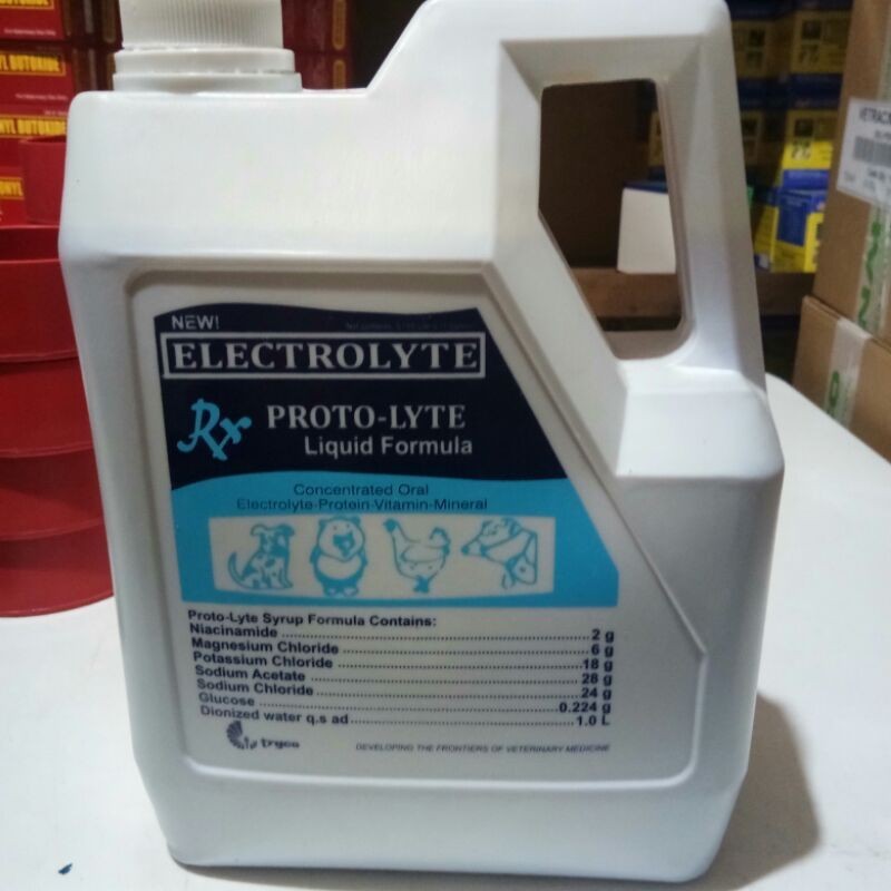 ELECTROLYTE PROTO-LYTE Syrup Formula 1liter | Shopee Philippines