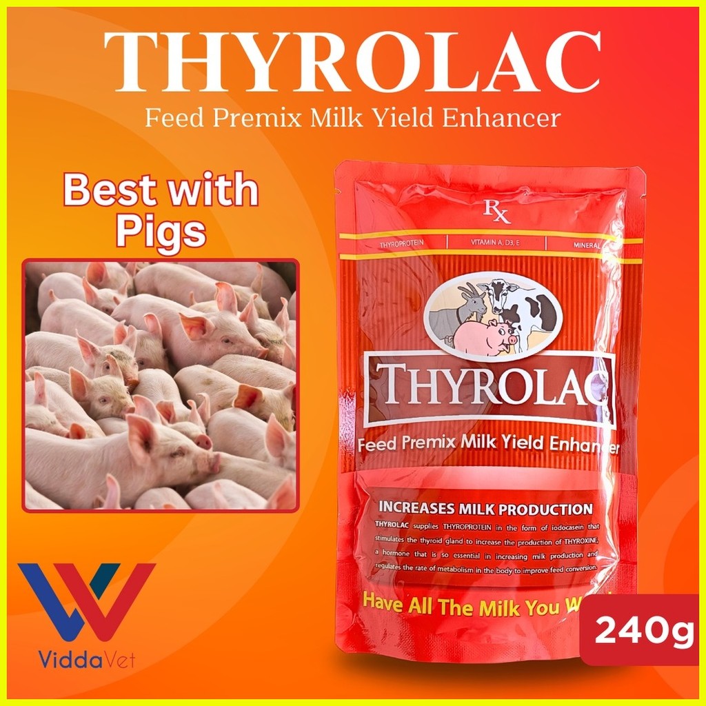 ∇ 240g Thyrolac Feed Premix Milk Yield Enhancer for pigs, cattle, goats ...
