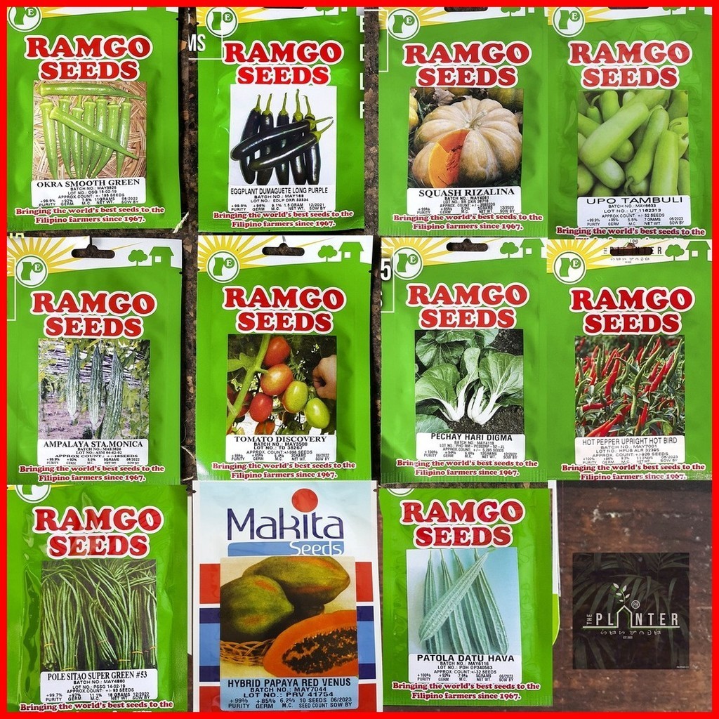 ☑ RAMGO SEEDS ORIGINAL - EGGPLANT DUMAGUETE KAMATIS PECHAY AMPALAYA ...