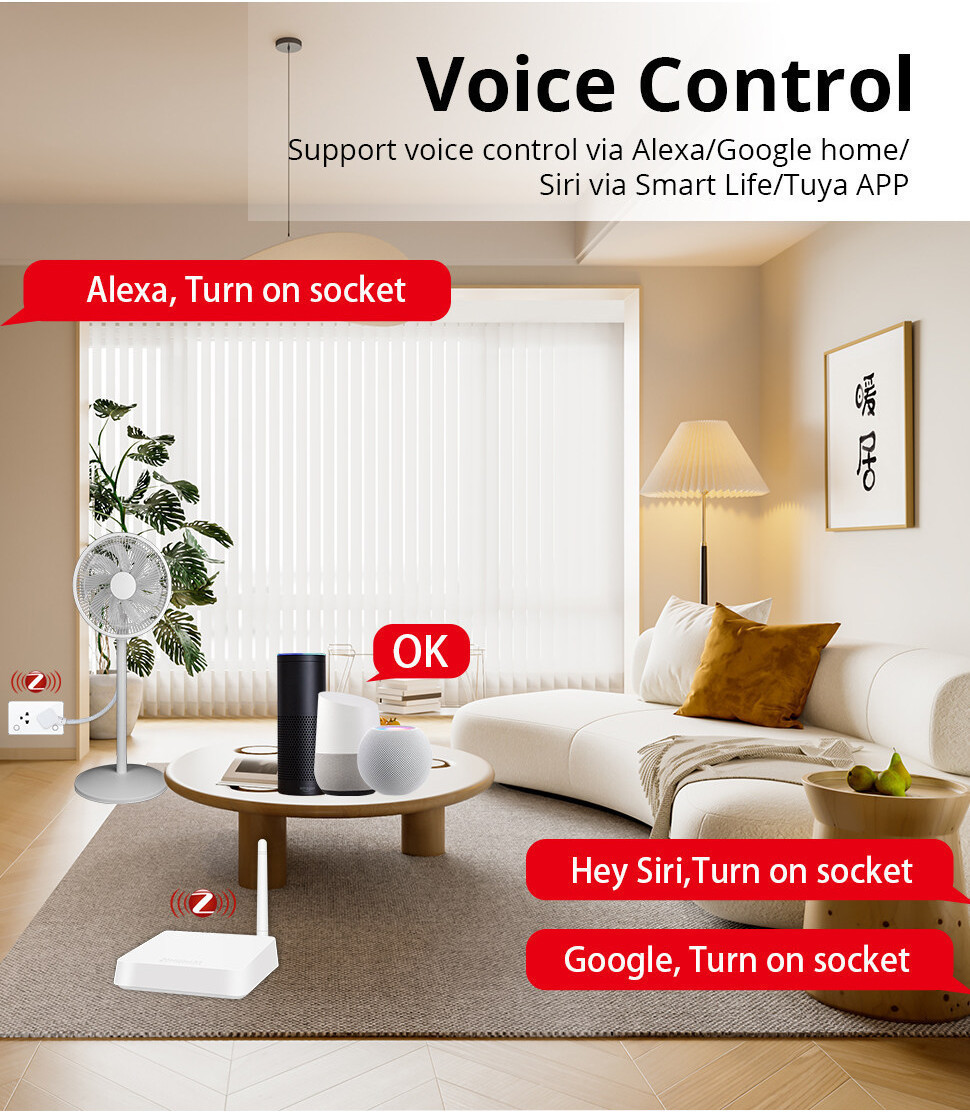 zemismart Zigbee Smart Socket,Touch 2Gang Outlet,Tuya App Timer,Socket ...