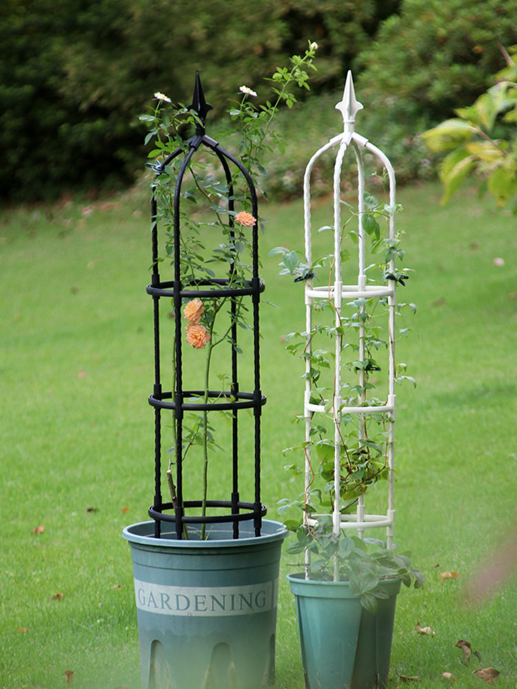 Climbing flower racks/// Clematis Climbing Frame, Fragrant Vine ...