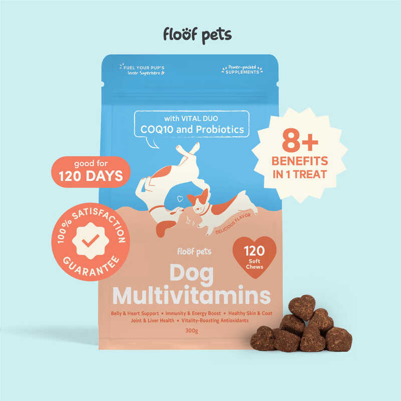 Floof 8 sa 1 Dog Multivitamin Treat 300g with Probiotics (Healthy Pets ...