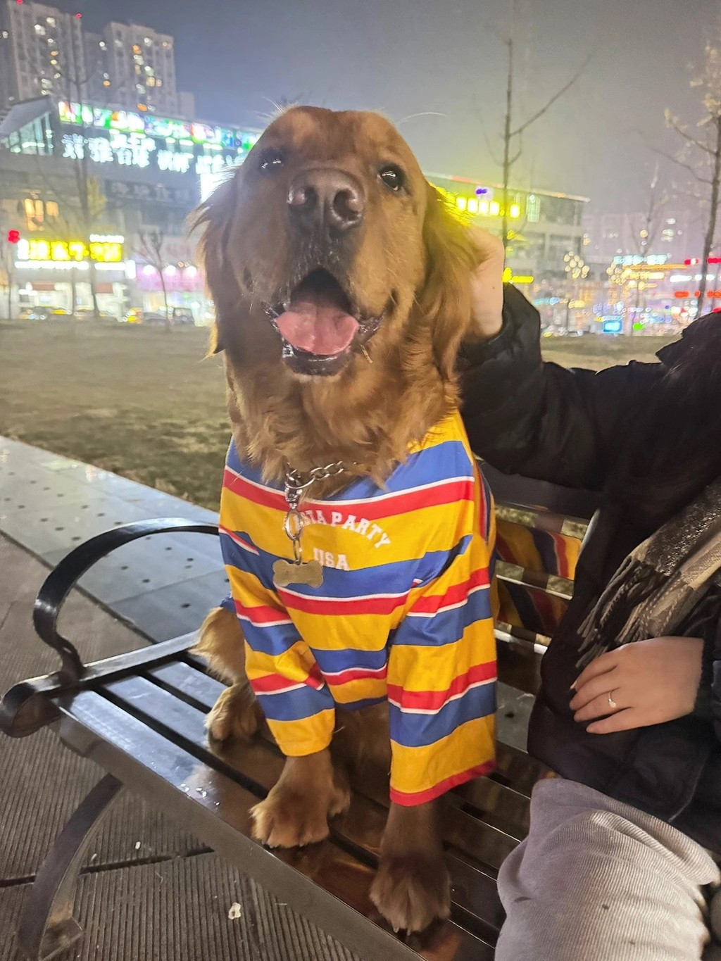 17-50kg big dog clothing for large dogs, striped dog clothing for ...