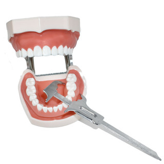 Dental Rulers Vernier Calipers Dental Measuring Ruler Caliper Tooth ...