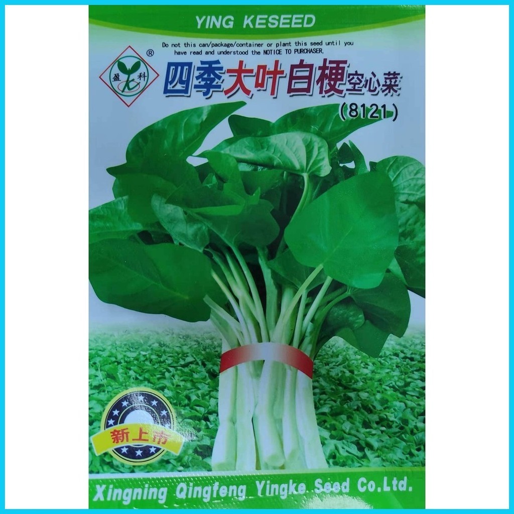☎ § Chinese BIG Leaf Variety White Stem Kangkong Water Spinach ...