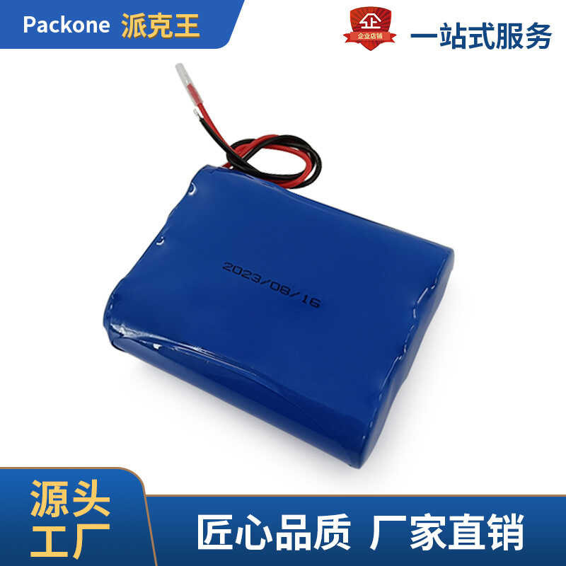 18650 Lithium Generator Pet Infusion Pump Oxygen Booster Coal Mine ...