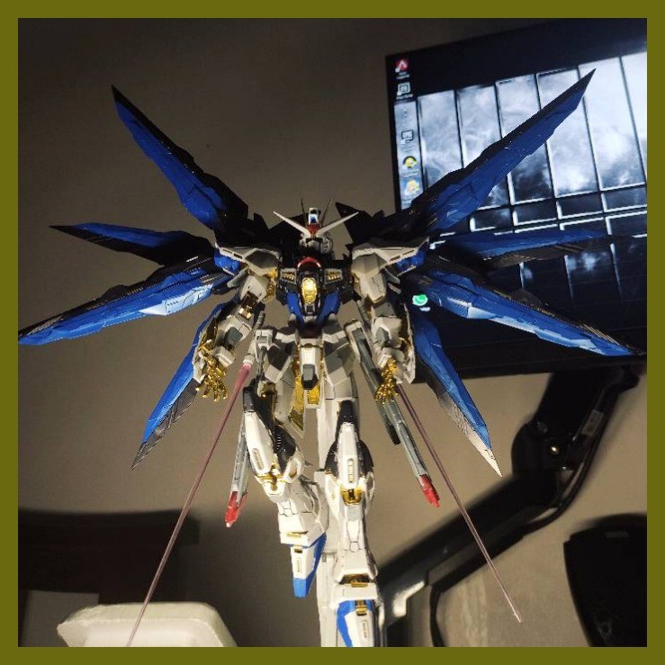 ⚽ MG 1/100 SCALE 8802 STRIKE FREEDOM (OLD) | Shopee Philippines
