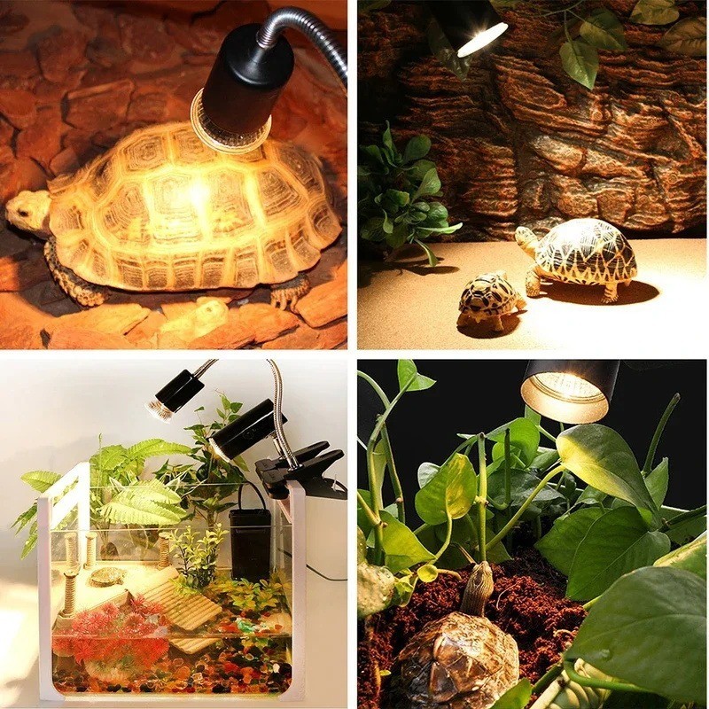 25/50/75W UVB Reptile Lamp Bulb - Turtle Basking Lizards Heating Light ...