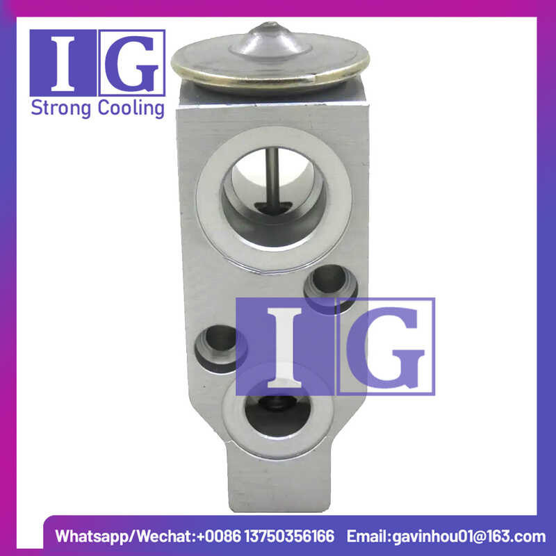 Chevrolet Captiva 96629609 AC Block Expansion Valve Para Sa Automotive ...