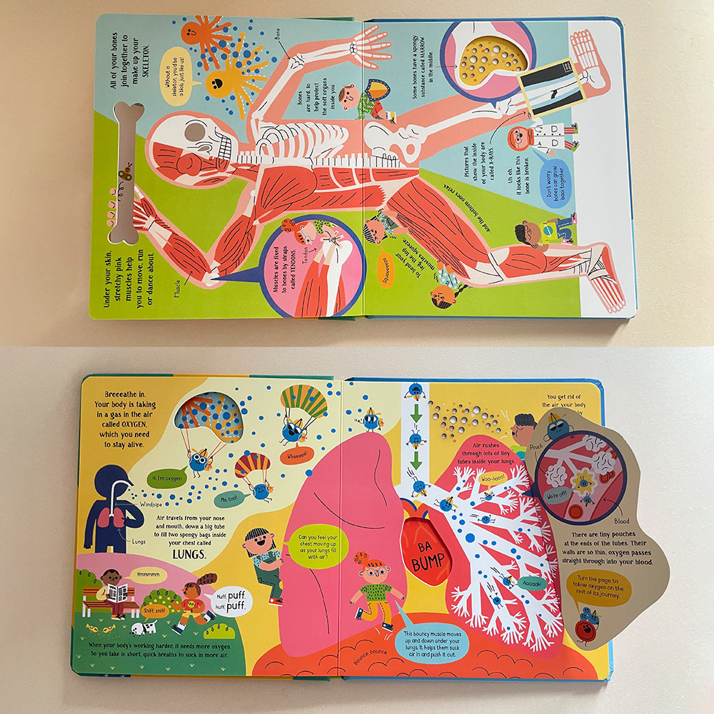 Usborne Step Inside Science Your Body 3D Flap English Picture Book for ...
