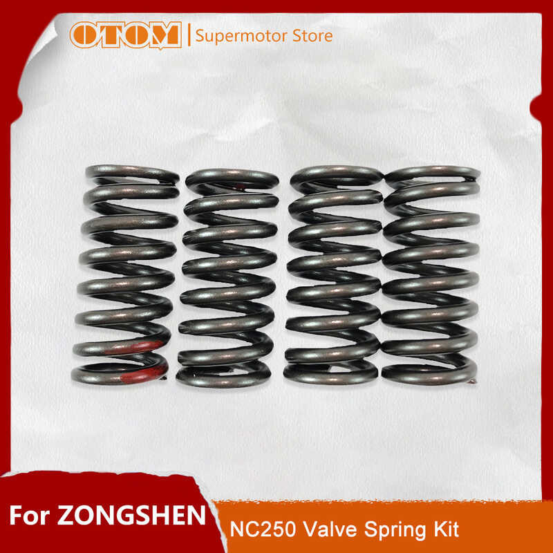 Bike ng ZS177MM Engine ZONGSHEN NC250 MOTOLAND AVANTIS GR7 GR8 BRZ KYAO BSE 7 | Shopee Philippines