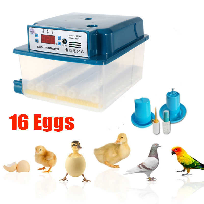 Brooder Eggs Incubator Fully Automatic for Chicken Goose Quail Auto ...
