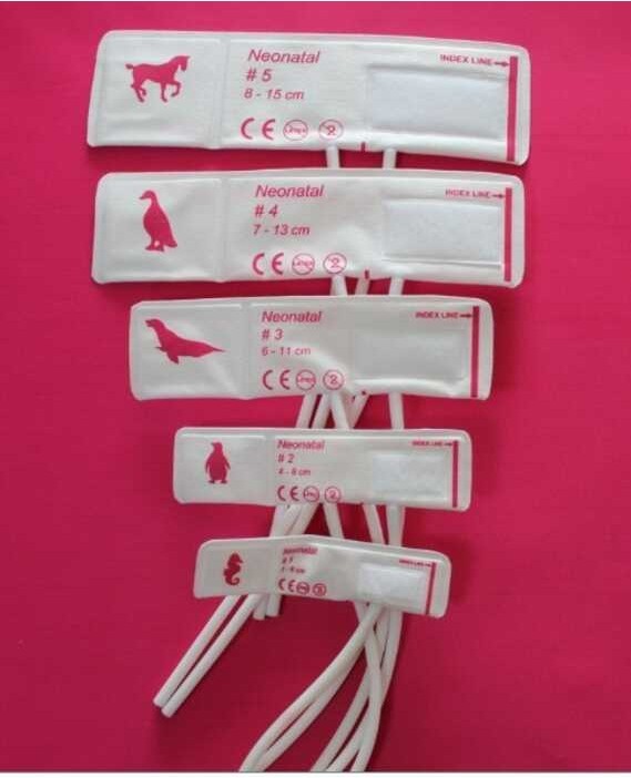 LY Pagpapadala Ng 5Size 5Pcs dutan Ng Dugo Pi sa Isang Pagkakaisa dutan ...