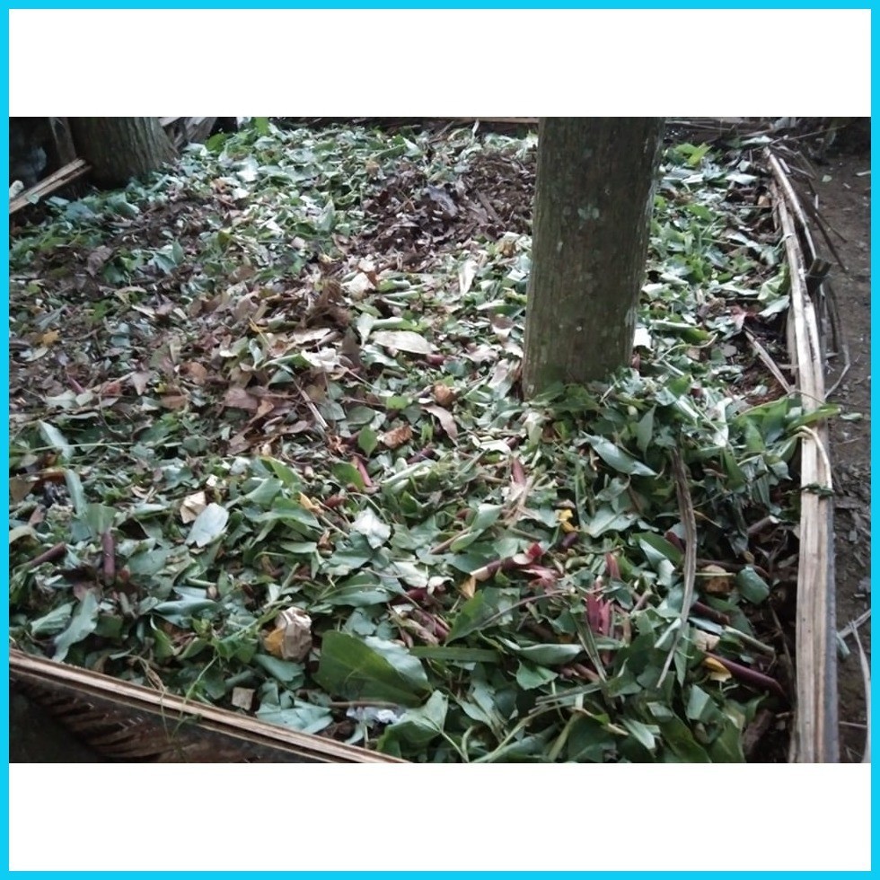 Soil Nutrition Booster Compost (2 kilos per pack) | Shopee Philippines