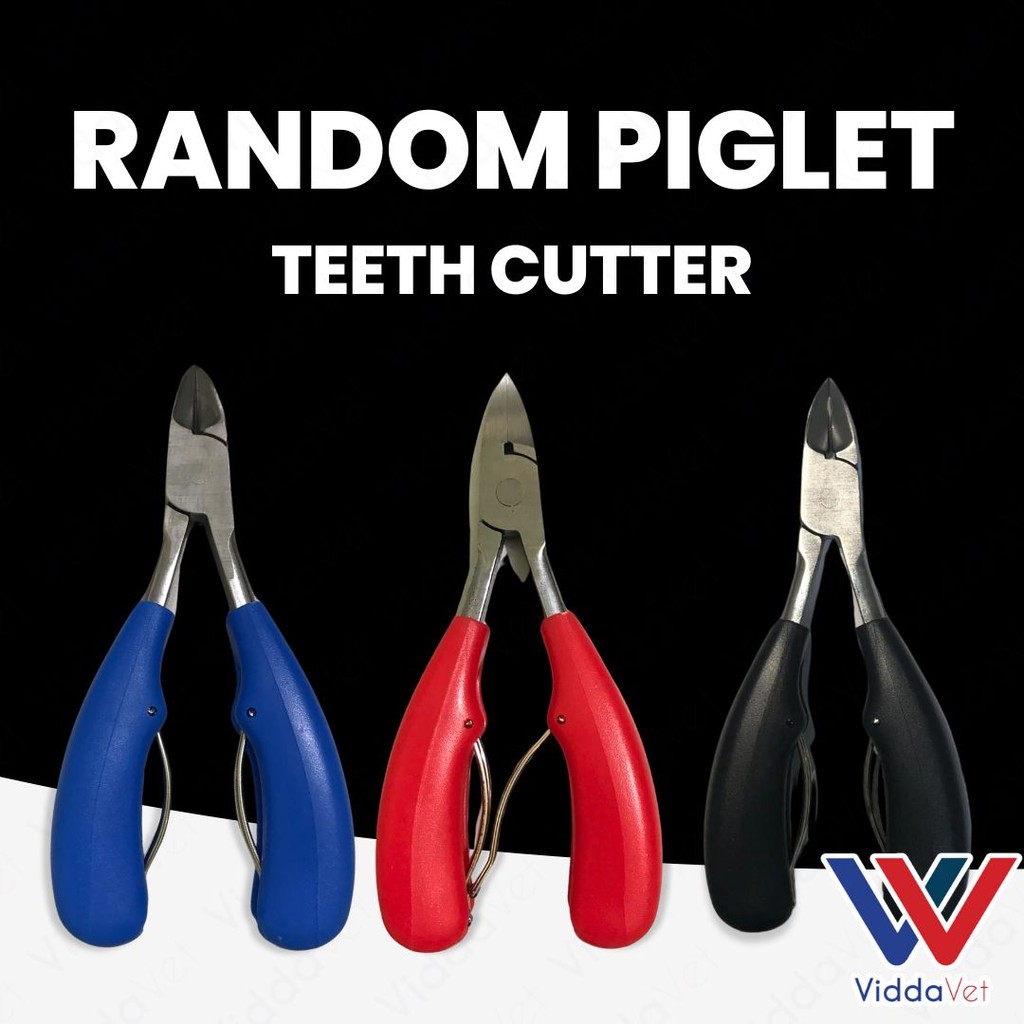 Easy to Use Tool for Managing Piglet Teeth for Health and Safety Piglet ...