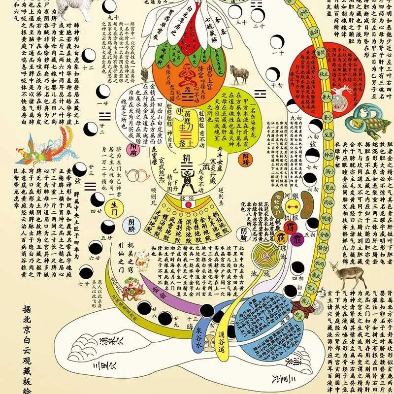 Xj Color Comprehension Map Sa Loob Ng TCM Health Propaganda Poster ...