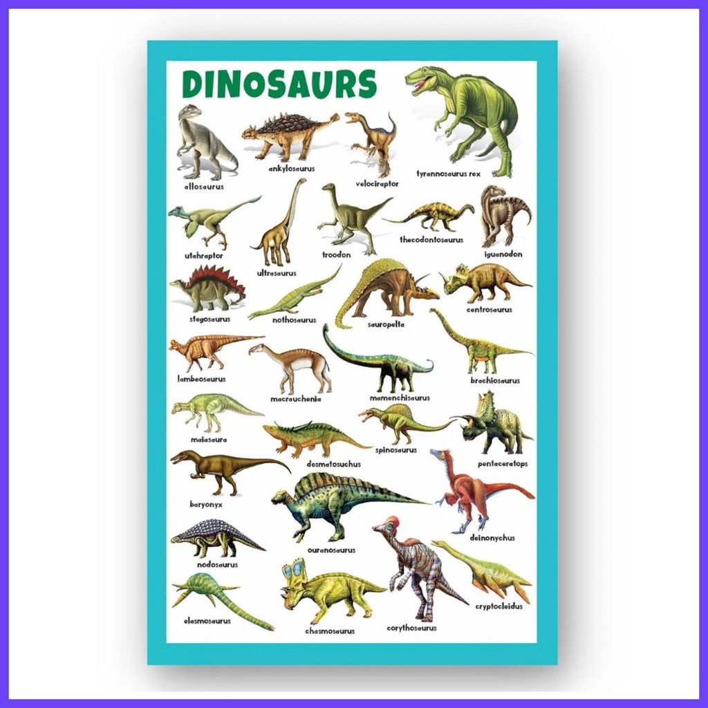 ⚖ ╱ Laminated Types of Dinosaur, Dinosaur Names for Kids, Learners and ...
