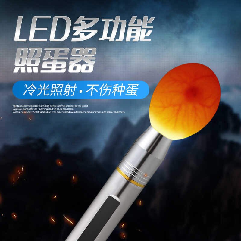 Illuminator LED Flashlight Hatching Rechargeable Illumination Lamp Egg ...