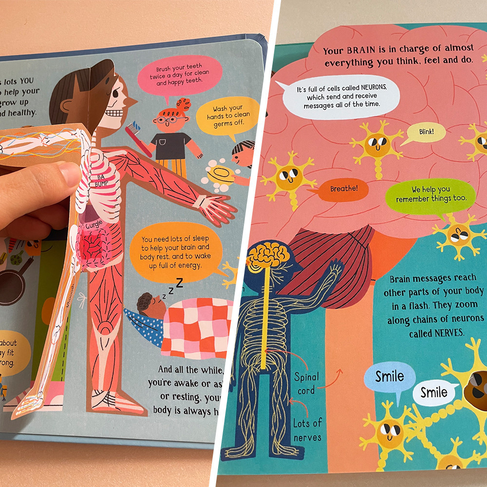 Usborne Step Inside Science Your Body 3D Flap English Picture Book for ...