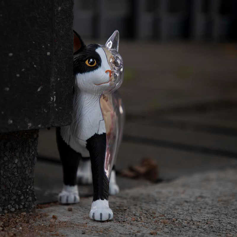 Bagong 4D Vision Black White Anatomy Simulation Cat Model 28 Bahagian ...