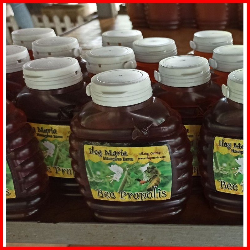Ilog Maria Bee Propolis/Propolis Gold 320 ml | Shopee Philippines