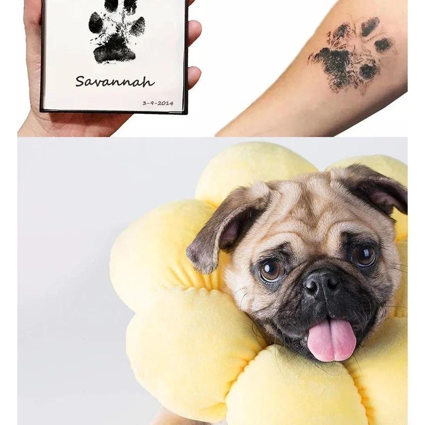 Pet Dog & Cat Paw Print Ink Set Pad Baby Handprints Safe Non-toxic Wash ...