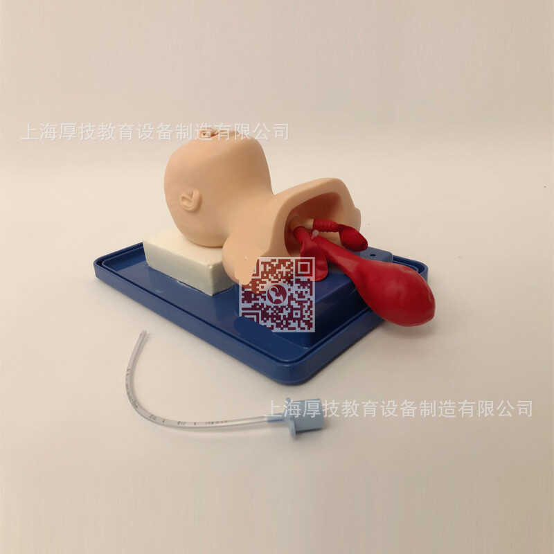 Newborn tracheal intubation model, newborn infant intubation training ...