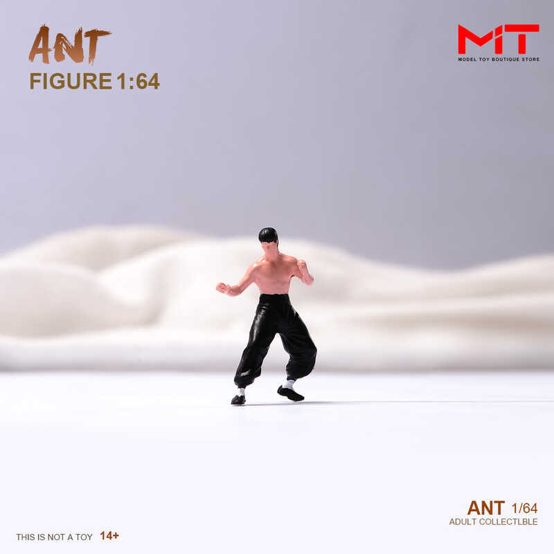 Miniatures Unpainted Painted 1/64 1/43 Kung Fu Figures Model Martial ...