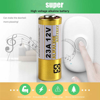 Dry 200Pcs 23A Alkae Batteries 12V 23Ae Ms21 A23 V23ga Vr22 Mn21 L1028 ...