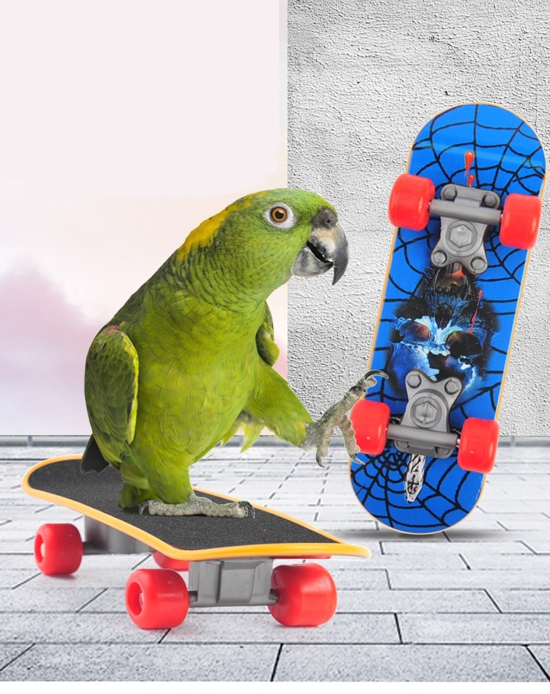 1 PC Parrot Training Skateboard Bird Supplies Skates Lovebird Canaries ...