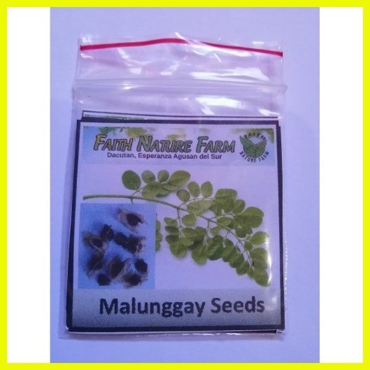 ♕ ๑ ☢ Moringa Seeds / Malunggay (10 seeds ) | Shopee Philippines