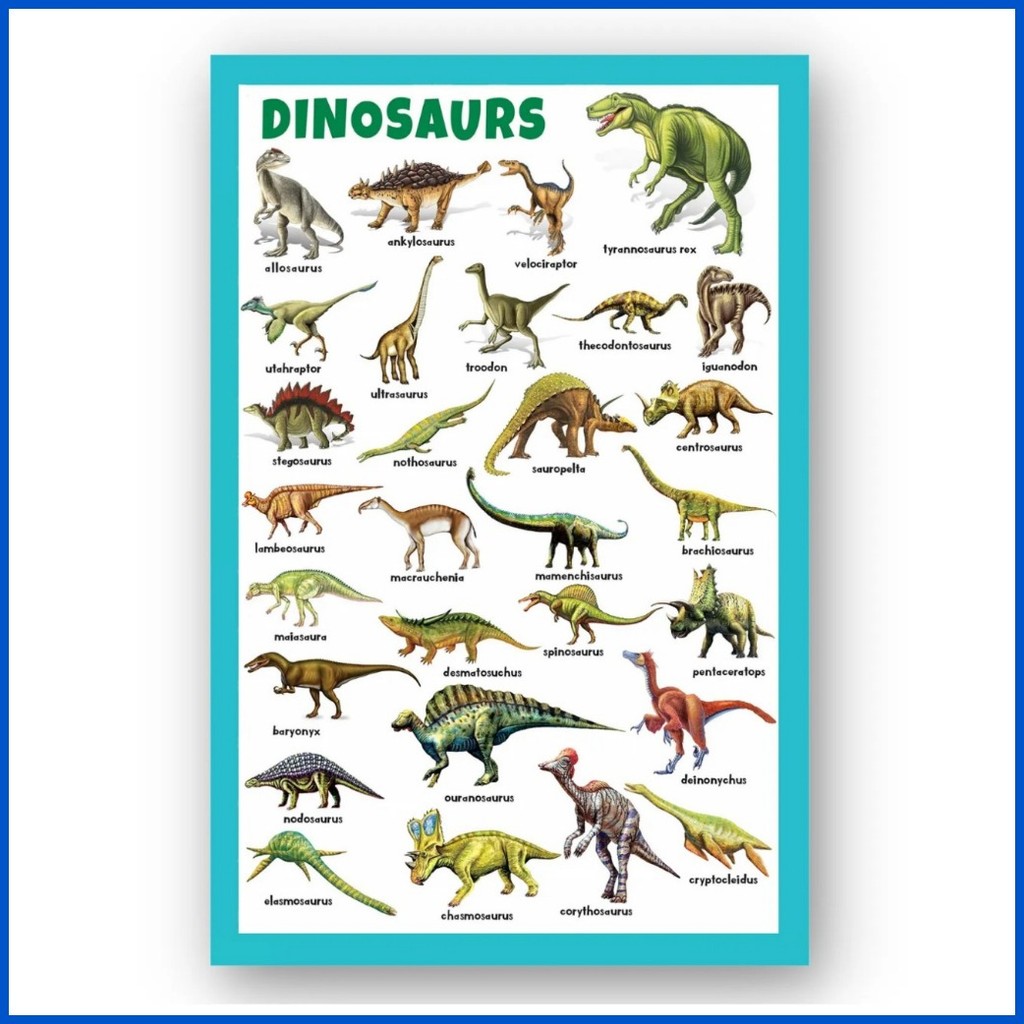 Laminated Types of Dinosaur, Dinosaur Names for Kids, Learners and ...