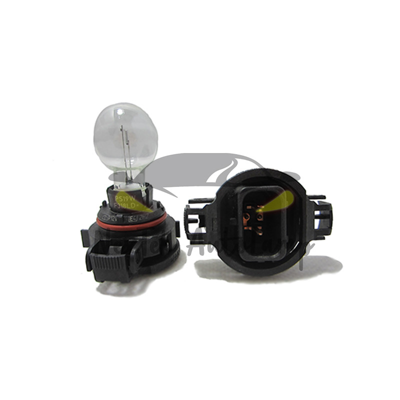 Philips PS19W PSX24W PSX26W PSY24WSV PSY24W 12V Special Halogen ...