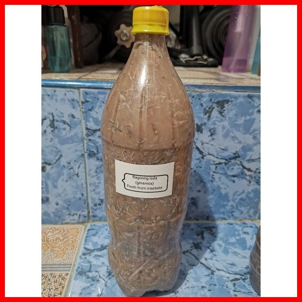 ♠ ㍿ BAGOONG ISDA GINAMOS Fresh from MASBATE 1.5L(2kg) | Shopee Philippines