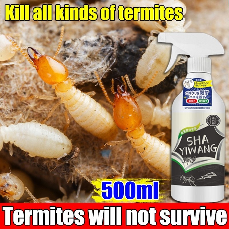 ♀ Termite killer！CP Termite spray killing termites Home defense termite ...