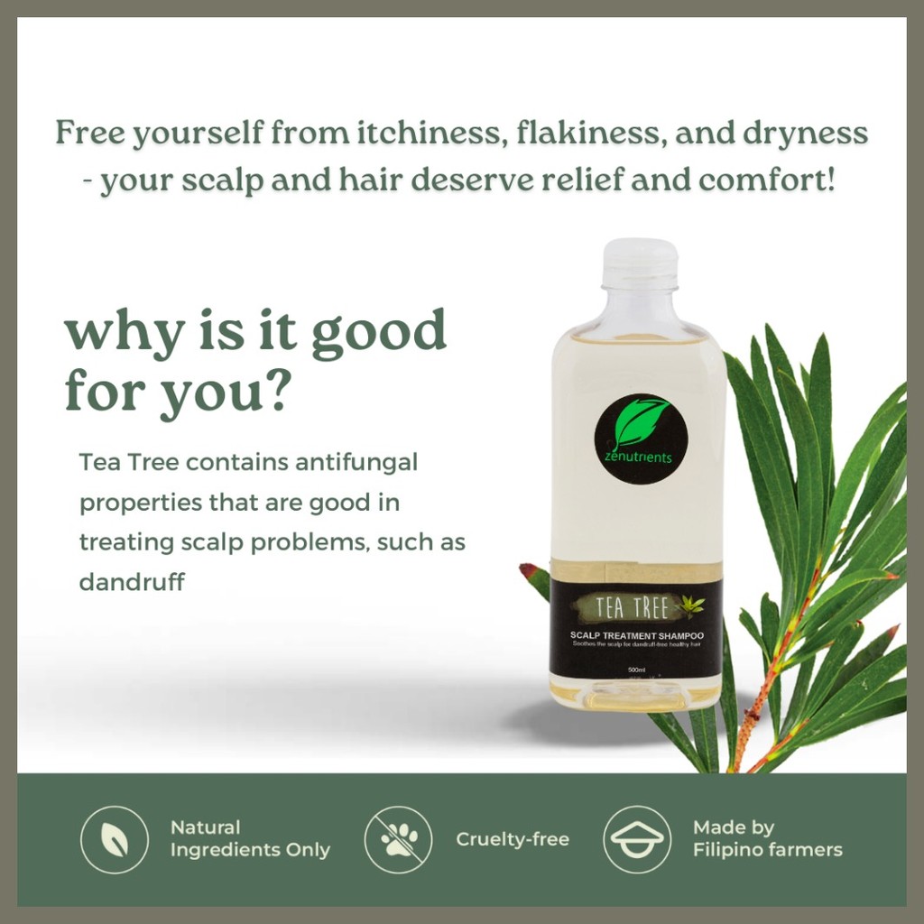 ๑ Zenutrients Anti Dandruff Tea Tree Shampoo 500mL (Organic, No ...