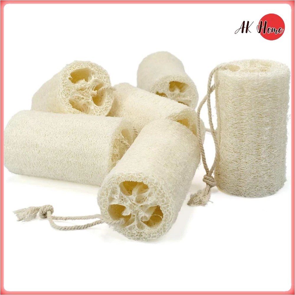 Loofah Sponge Body Scrub Natural Luffa Loofa Bath Shower Spa Dish Bowl ...