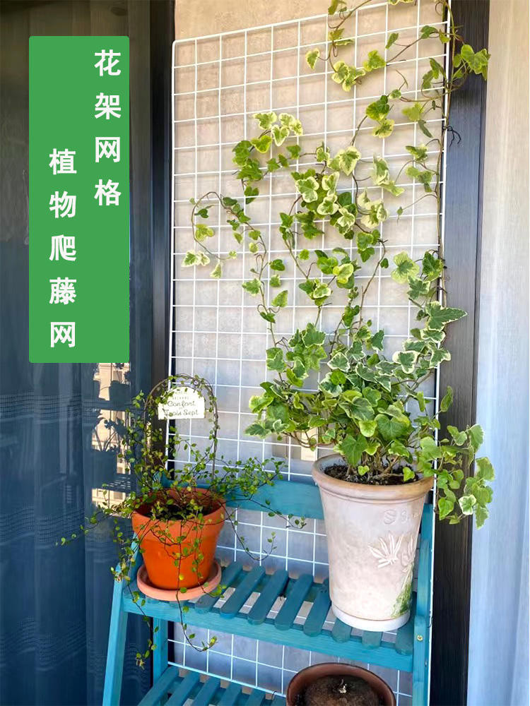 Climbing flower racks/// Mesh Flower Stand Plant Climbing Net Outdoor ...