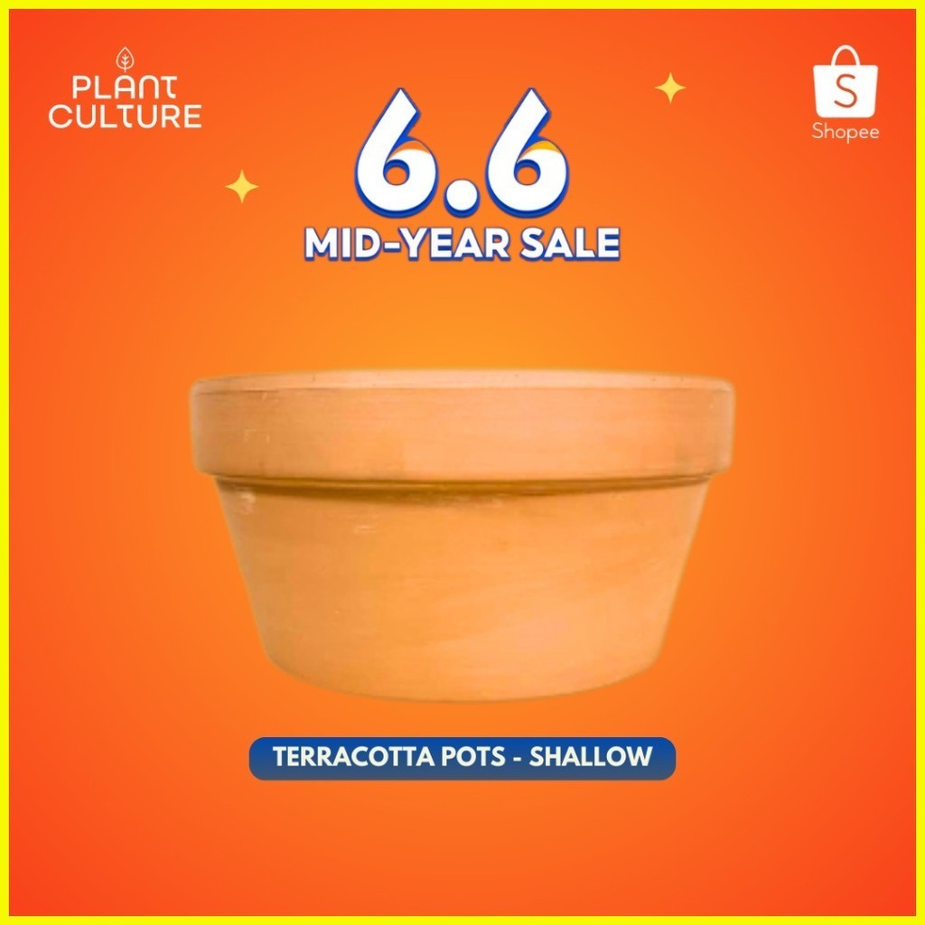 ♒ Plant Culture Ph: Smooth Japanese Terracotta Planters | Clay Pots ...