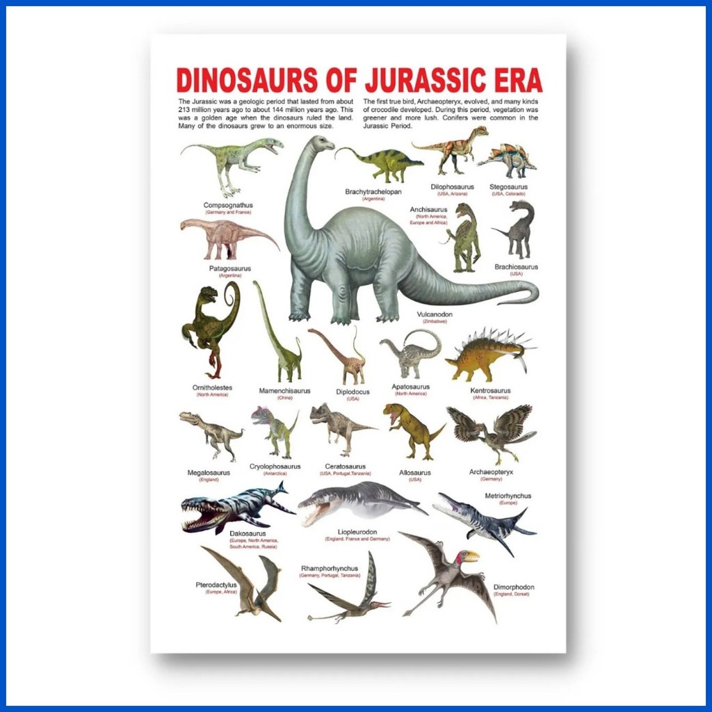 Dinosaur Charts, Laminated Types of Dinosaur Charts for Kids, Learners ...