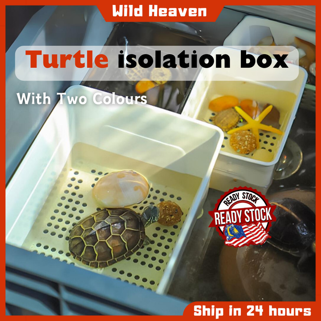 Turtle Isolation Box Separate Case For Tortoise Turtle Tank 乌龟隔离盒 ...