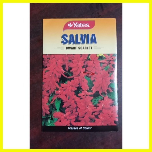 SALVIA DWARF SCARLET (ORIGINAL PACK) BY YATES | Shopee Philippines