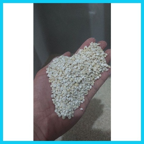5KG - Premium White Adlai Adlay Rice Grits (240/KG) | Shopee Philippines