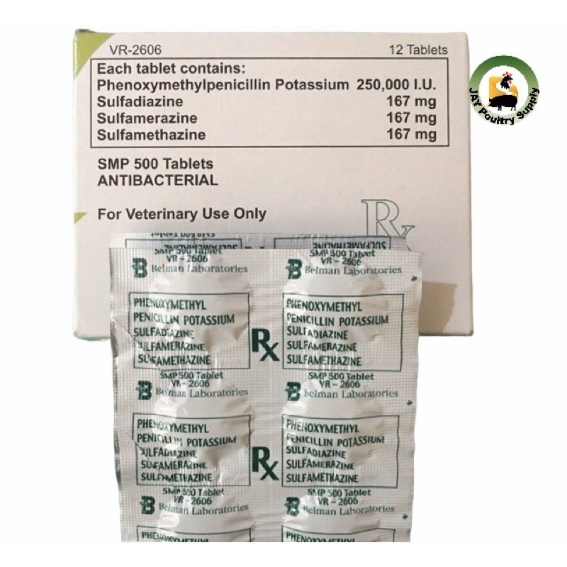 SMP 500 antibacterial 1box contains 12 tablets smp for dog and cat all ...