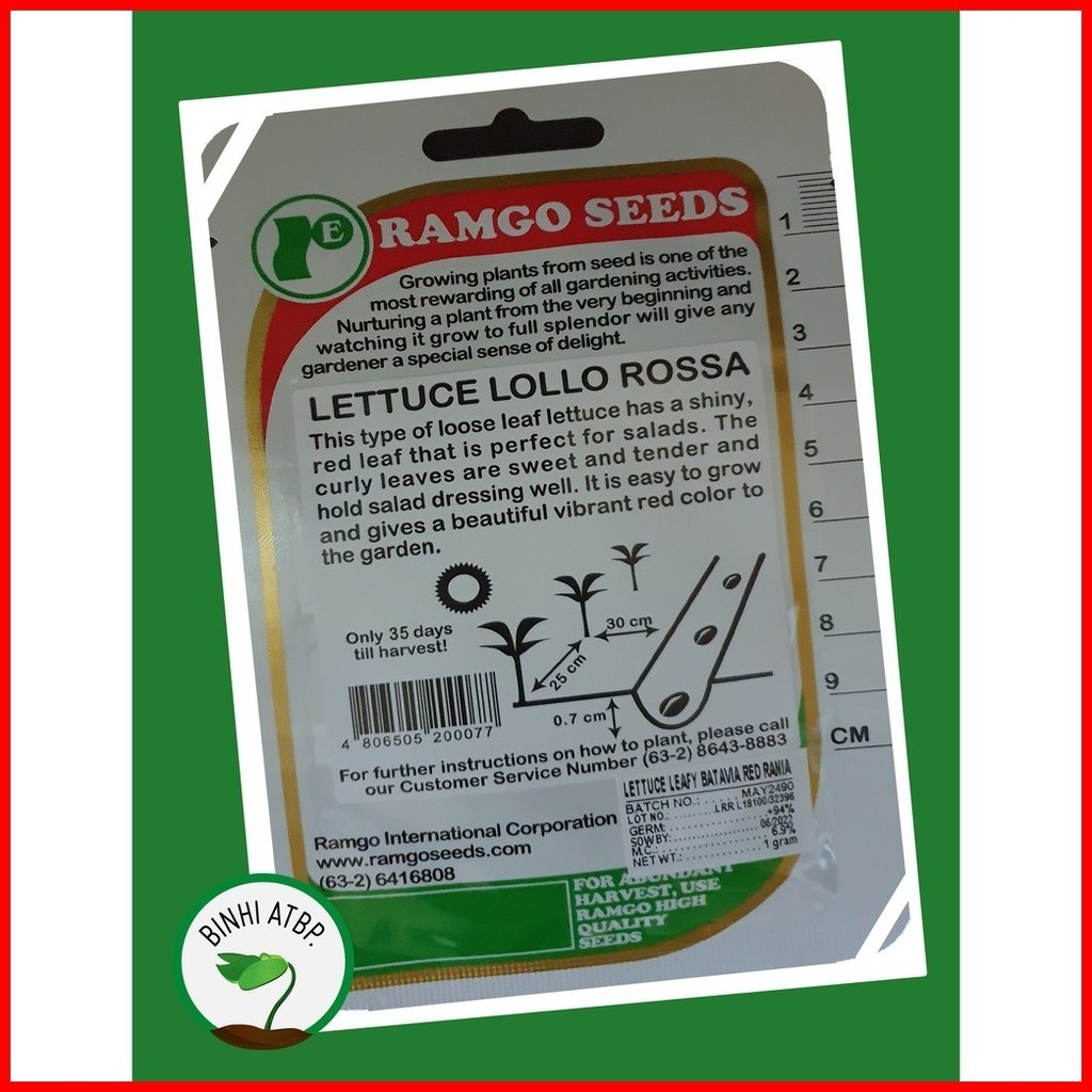 Ramgo Lettuce Lollo Rossa Seeds | Shopee Philippines