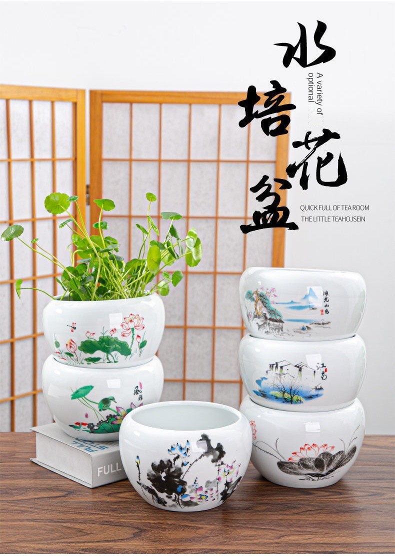Flower Pot Non-Hole Hydroponic Household Extra Large Hydrocotyle ...