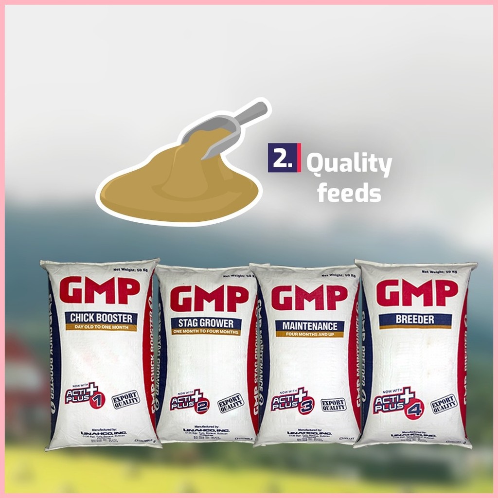 ⭐ Unahco - GMP 1 Chick Booster, GMP 2 Stag Grower, GMP 3 Maintenance, GMP 4 Breeder | Shopee ...
