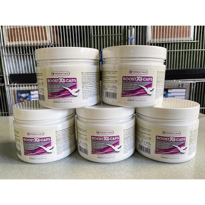 Boost X5 Caps Versele-Laga | Shopee Philippines